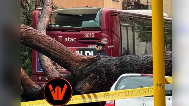 Albero caduto a Roma, colpito un autobus Atac in via Ugo de Carolis ...