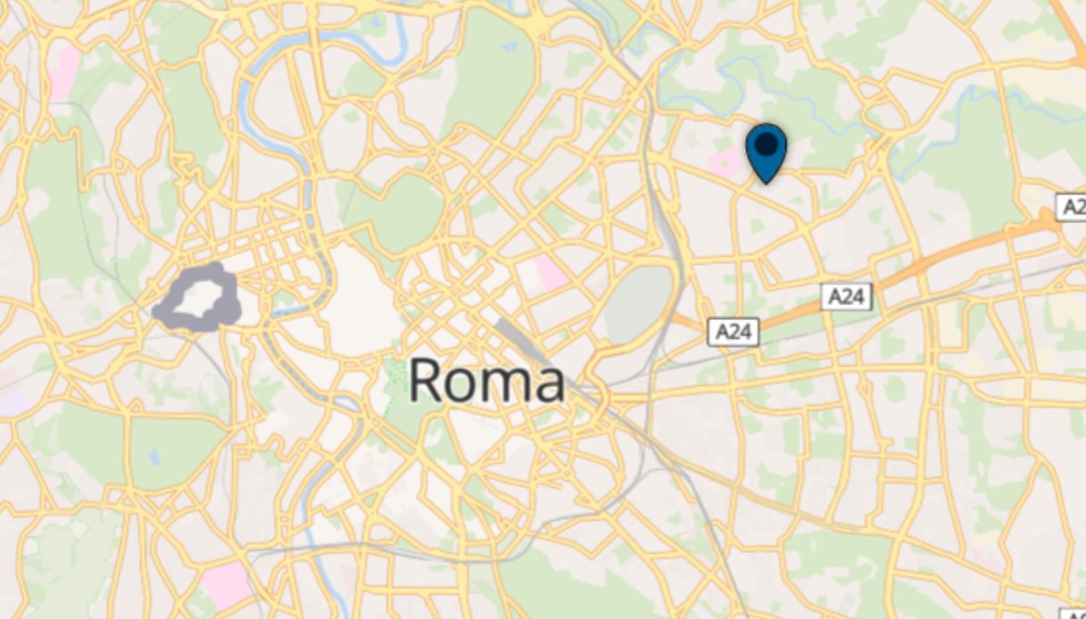 Andrea Stroppa referente di Elon Musk in Italia indagato per omicidio ...