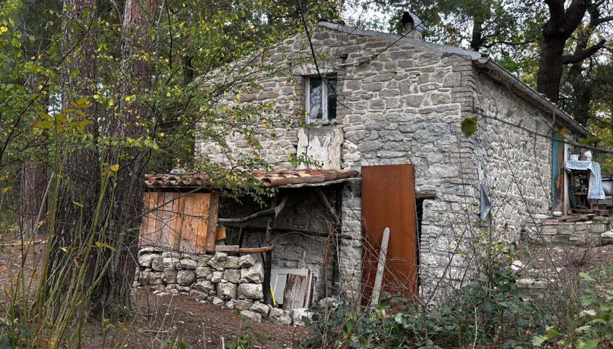 Famiglia nel bosco, le ultime notizie svelate dal padre Nathan dai ...