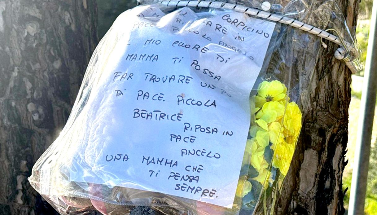 Bimba morta a Bordighera, Manuel Iannuzzi contro Manuela Aiello: "Mi ha ...