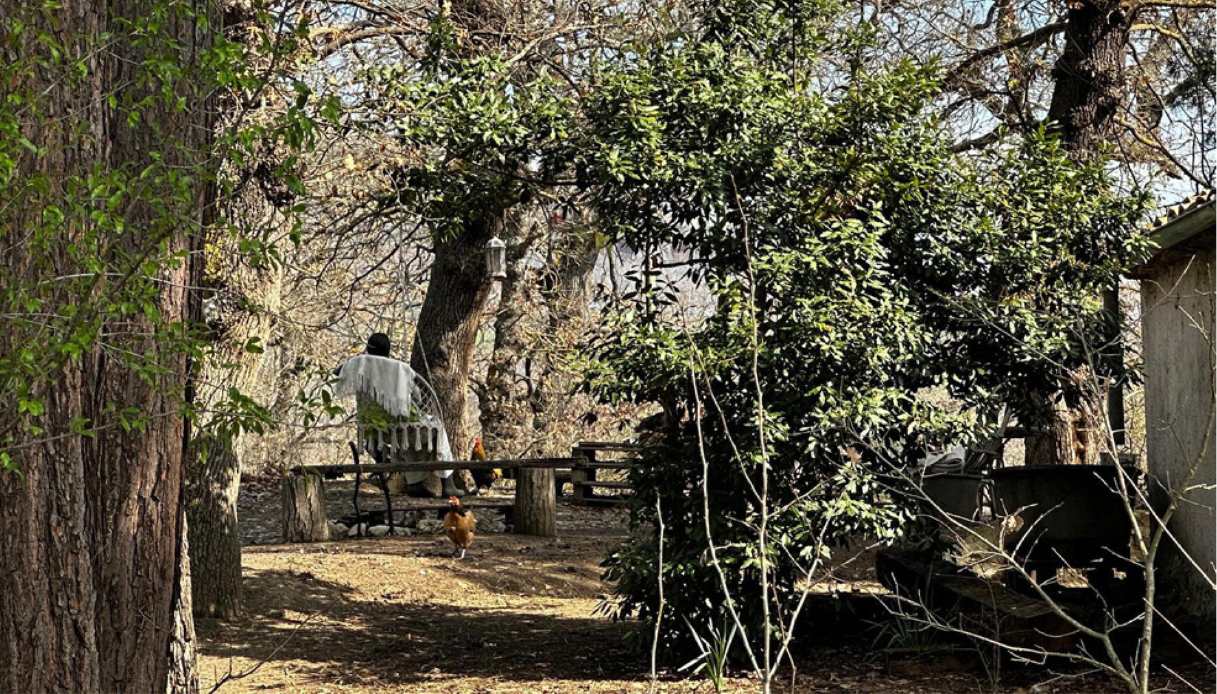Famiglia nel bosco, mamma Catherine Birmingham pubblica un libro sulla ...