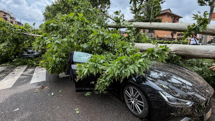 Tromba d'aria a Roma durante il nubifragio, video degli alberi caduti ...