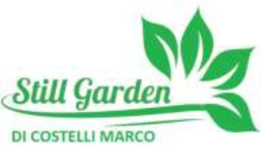 Still Garden: ditta di giardinaggio e interni | Calcio | PG Magazine