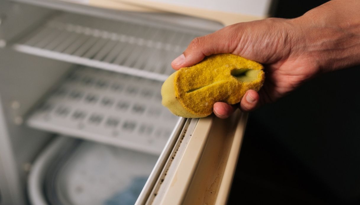 Come pulire la guarnizione del frigo secondo gli esperti: guida ...