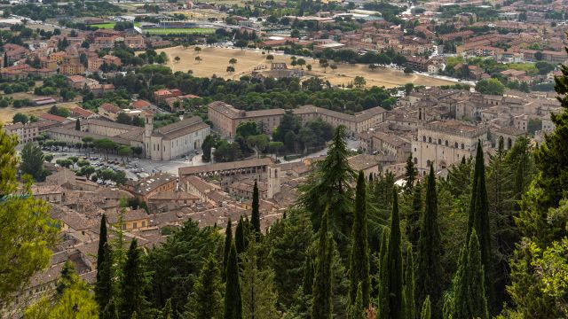 Gubbio piange Alessio Gigli, un cuore d'oro che sognava l'Europeo di ...