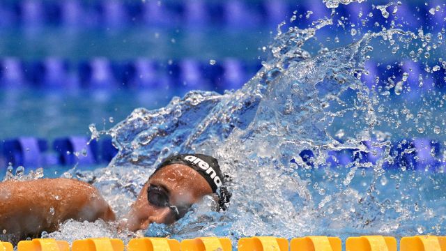 Nuoto, stili e regole. Stile libero, dorso, rana, farfalla; il nuoto in ...