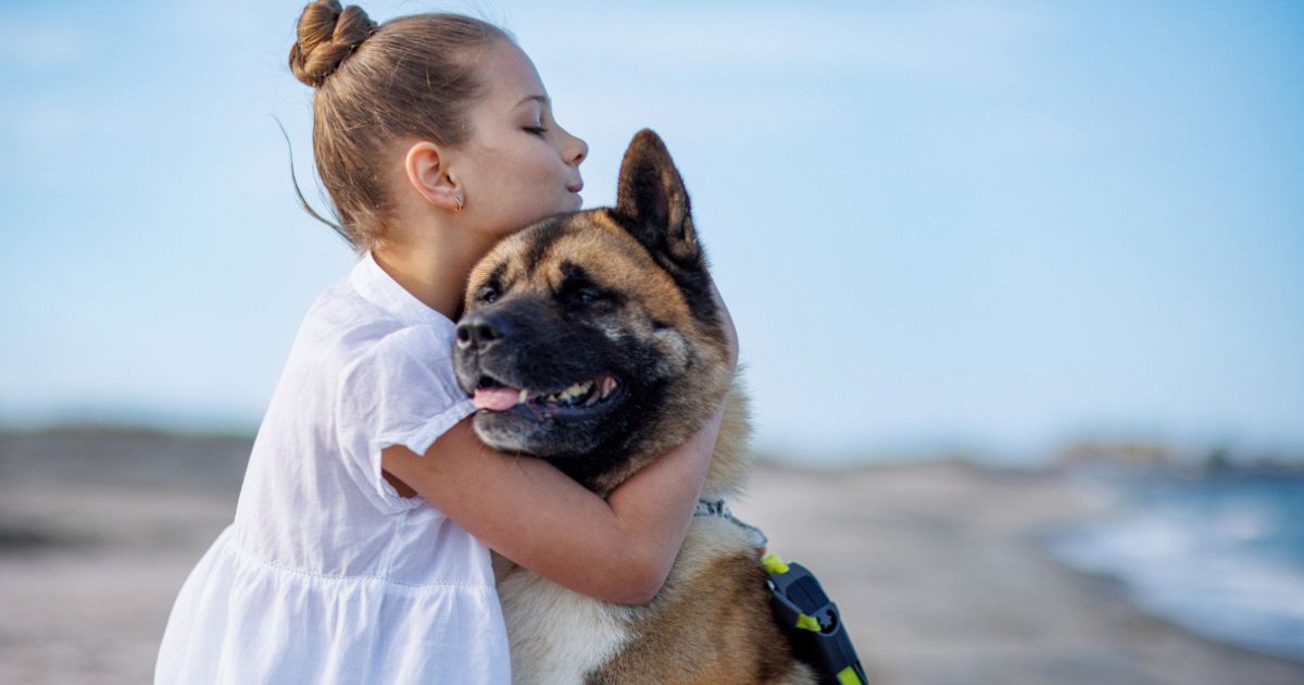500 euro di sconto sulla TARI se adotti un cane: succede in questo ...