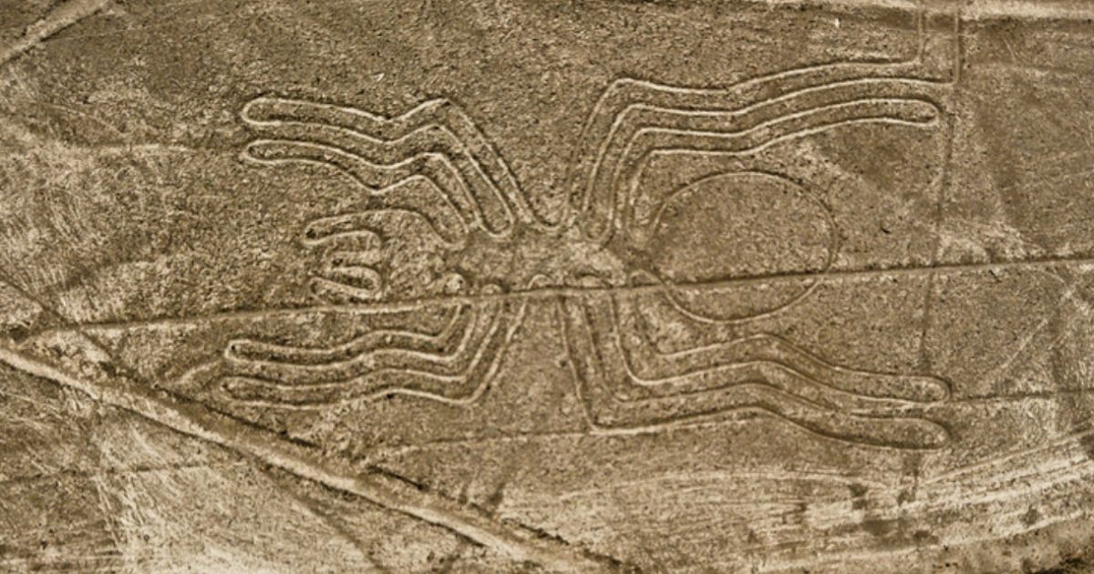 Il significato delle linee di Nazca è stato decifrato