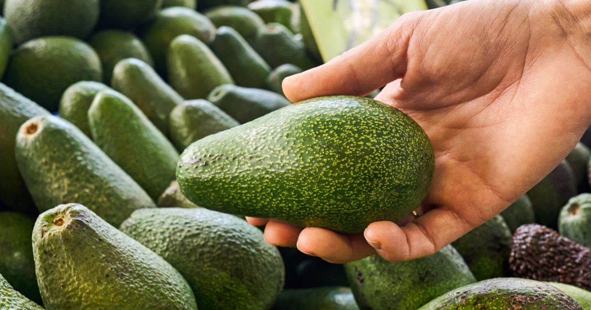 Ha mangiato 1 avocado al giorno per 26 settimane: cosa è successo al ...