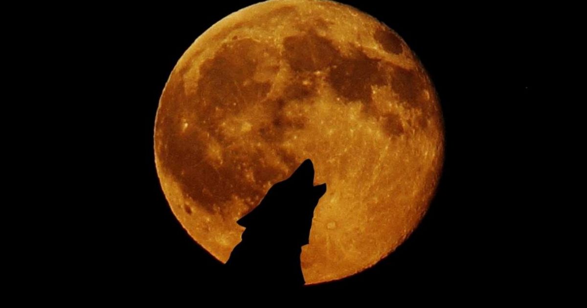 Il 2026 inizia sotto la Luna del Lupo: il 3 gennaio la prima luna piena ...