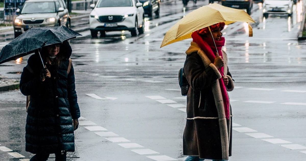 Potrebbe piovere per 40 giorni di fila: cosa succede se dovesse piovere ...
