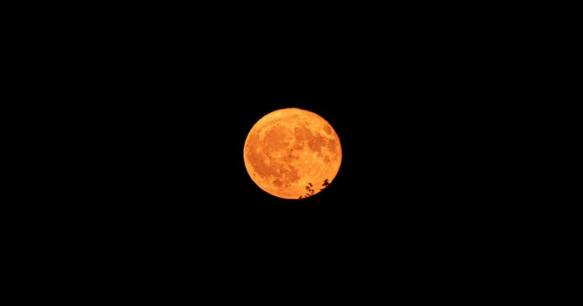 Oroscopo, Luna delle fragole influirà in peggio su questi segni ...