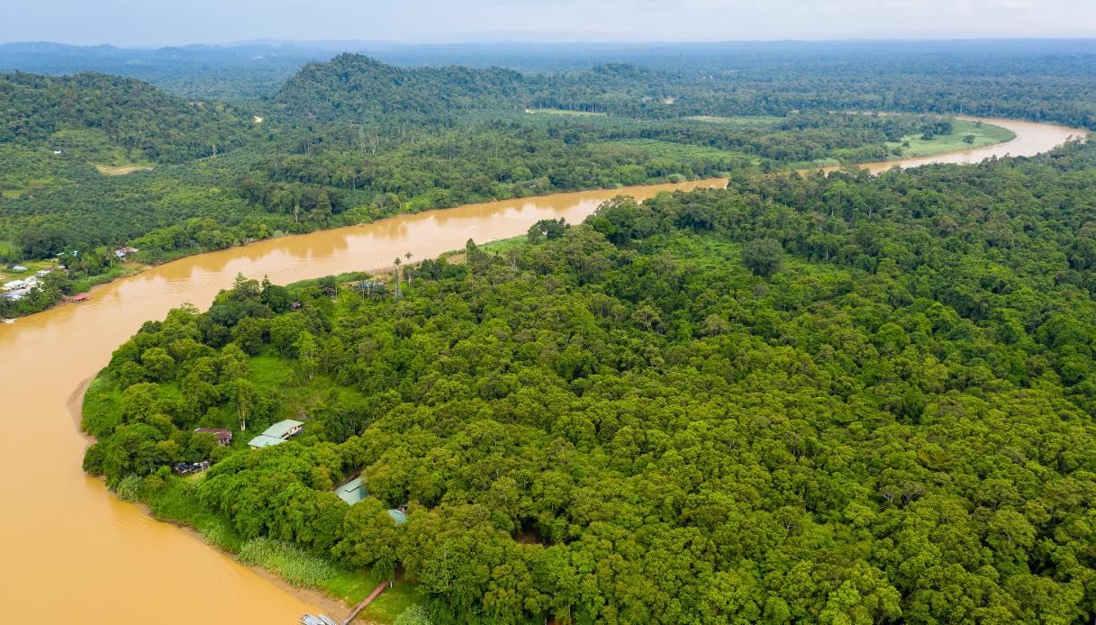 Allarme in Amazzonia, siccità fuori scala: ecco la situazione d'emergenza Allarme in Amazzonia, siccità fuori scala: ecco la situazione d'emergenza