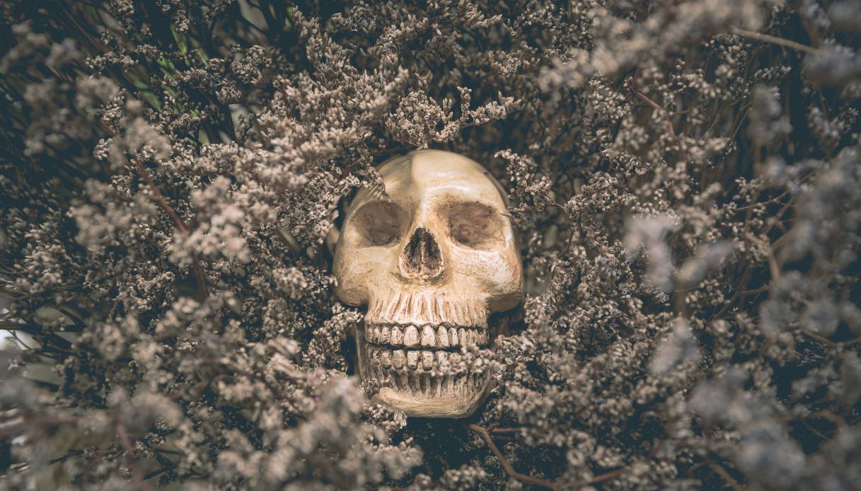 In Cina un antico cranio riscrive l'evoluzione umana