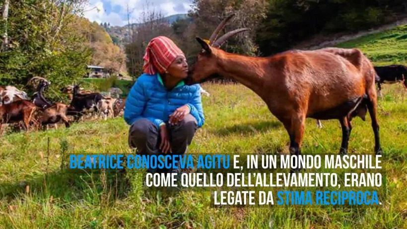 ‘La Capra Felice’: una ventenne sta curando gli animali di Agitu
