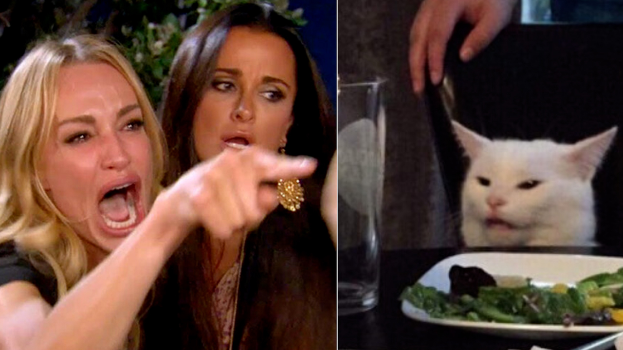 Meme Del Gatto Di Jeeves Meme Del Gatto Puzzle Online