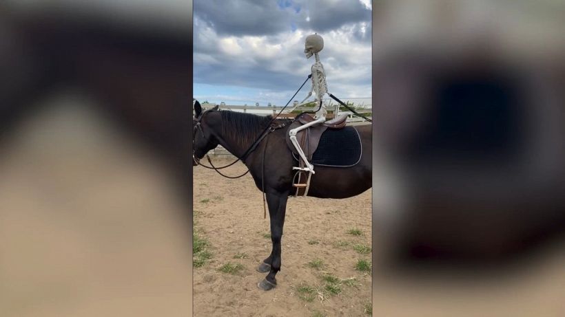 Cavalcata macabra: cosa ci fa uno scheletro sulla sella?