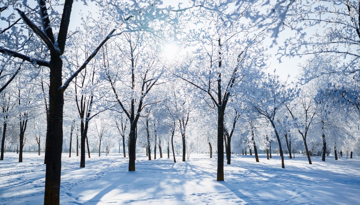 Perché la neve è bianca?