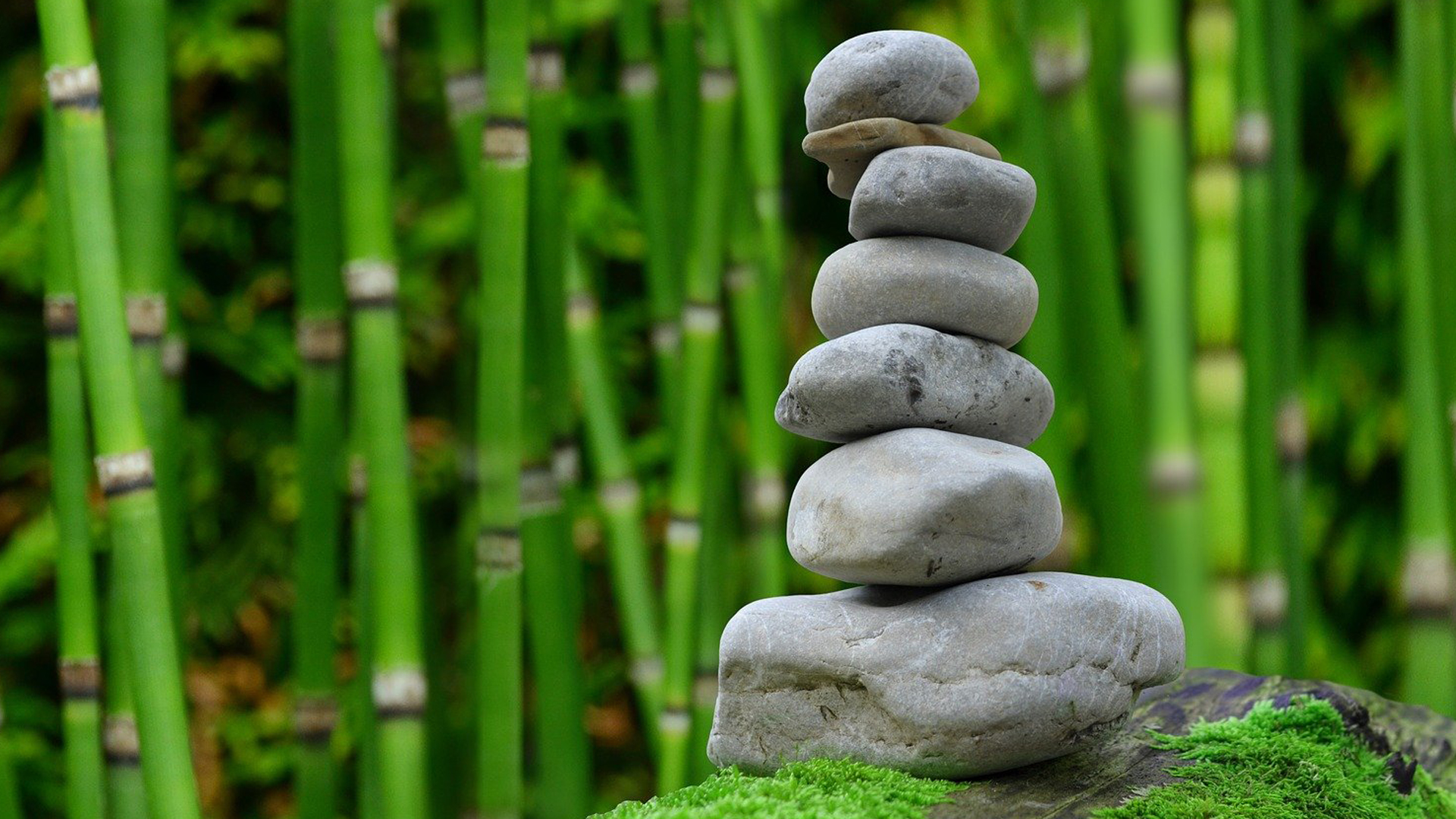 Quando una cosa sta ben che basta, lasciala star perché si guasta