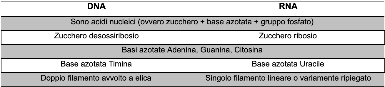 DNA e RNA, sintesi proteica e mutazioni