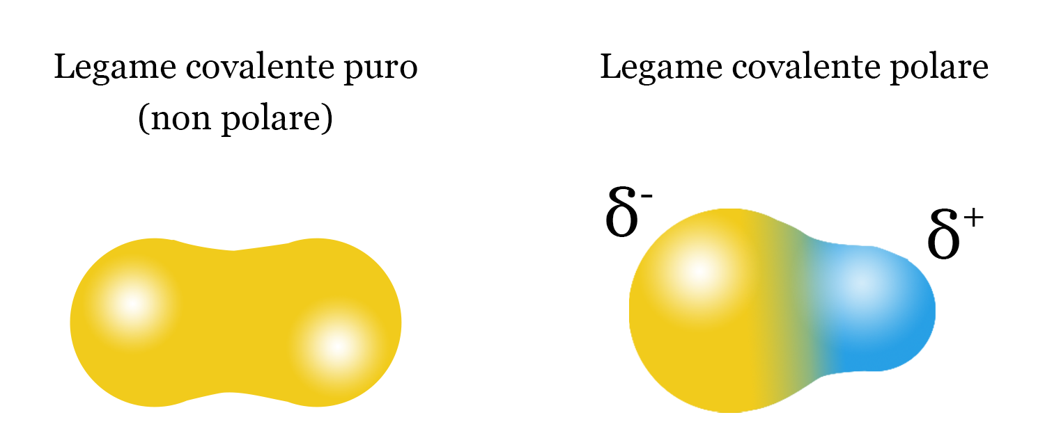 I legami chimici: covalenti, ionici e metallici