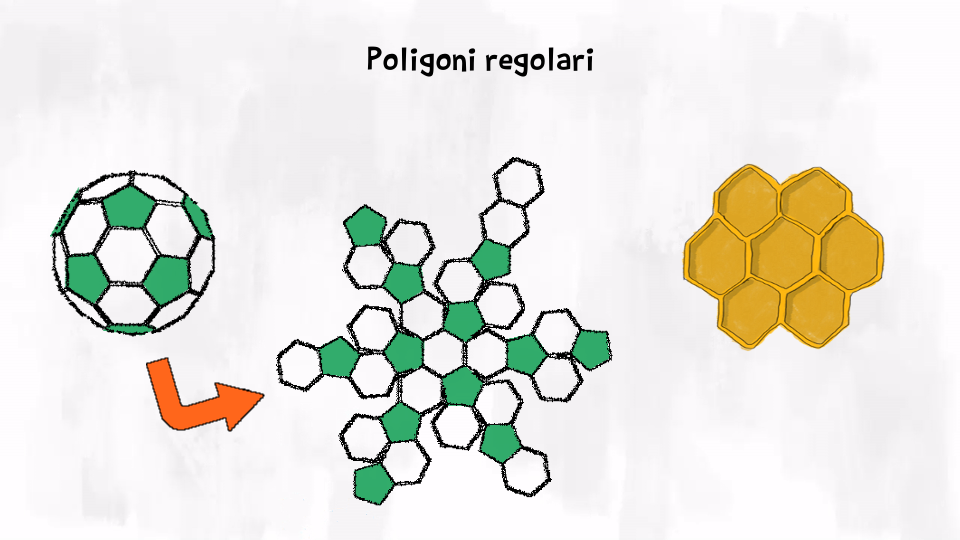 I poligoni: qual è la definizione e come calcolare il perimetro