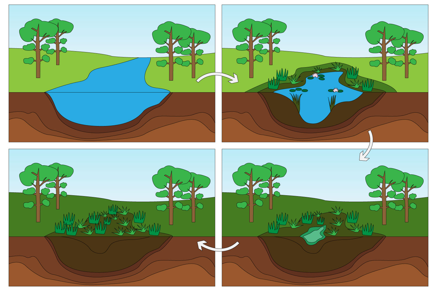 L'idrosfera, tipologie e ciclo dell'acqua