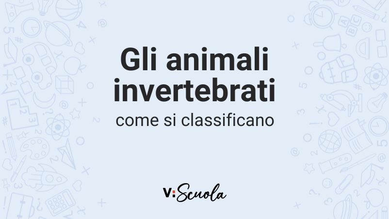 Gli animali invertebrati: come si classificano