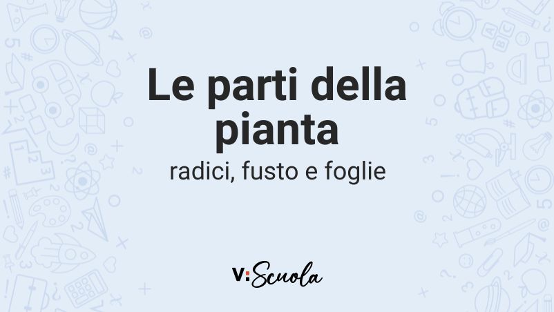 Le parti di una pianta: radici, fusto e foglie