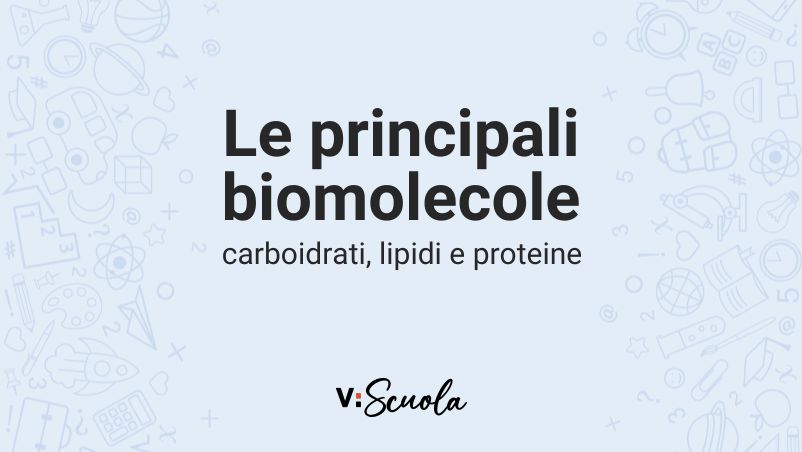 Le biomolecole: carboidrati, lipidi e proteine