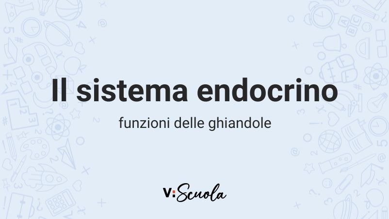 Il sistema endocrino: caratteristiche e funzioni principali