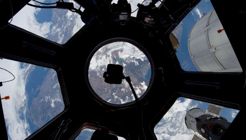 Super virus alieni sulla Terra, sono distruttivi (ed è un bene)